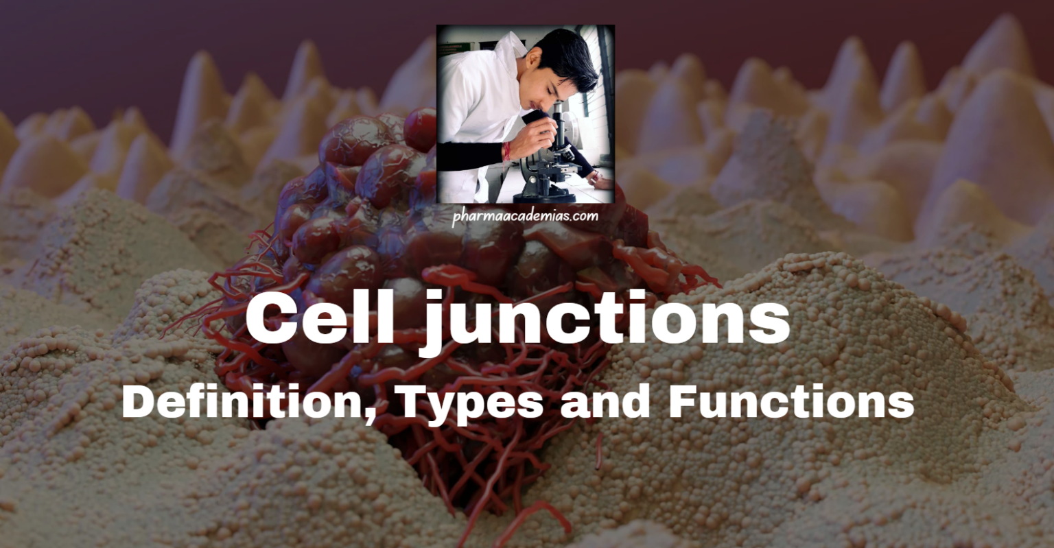Cell junctions: Definition, Types and Functions - Pharmaacademias