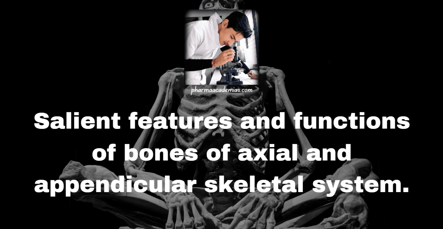 Salient features and functions of bones of axial and appendicular ...
