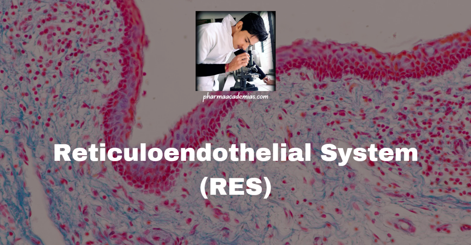 Reticuloendothelial System (RES) - Pharmaacademias