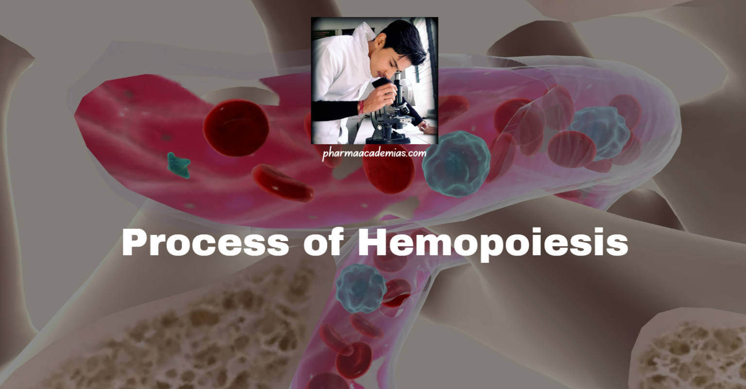 Process of Hemopoiesis: Definition, Types and steps - Pharmaacademias