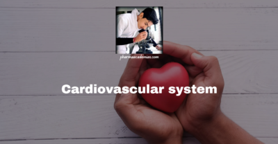 Cardiovascular system: Definition, Structure, Functions - Pharmaacademias