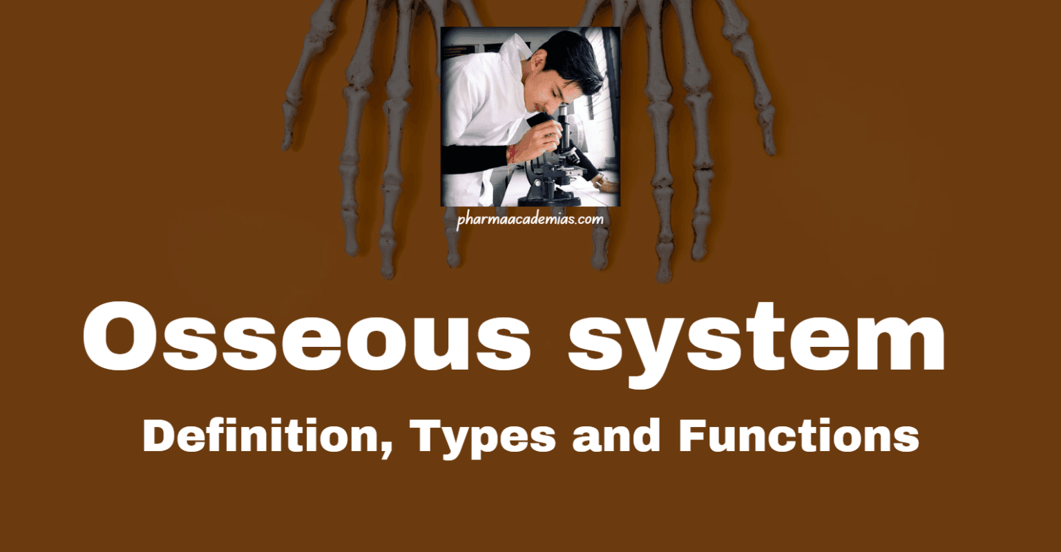 Osseous system: Definition, Types and Functions