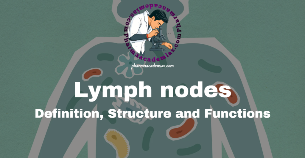 Lymph nodes: Definition, Structure and Functions - Pharmaacademias