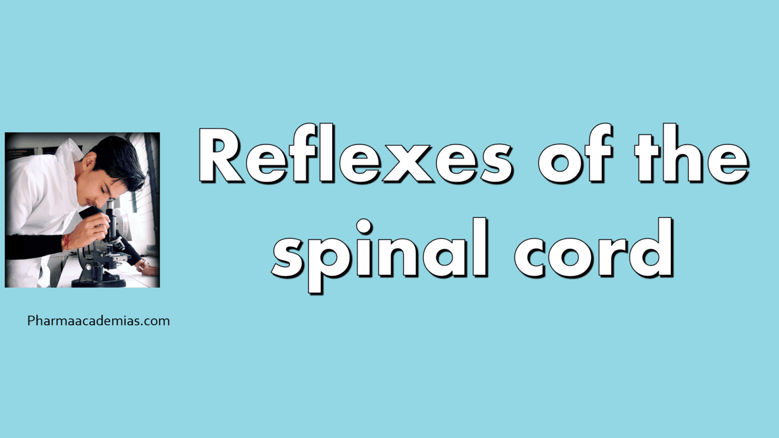 Reflexes of spinal cord - Pharmaacademias