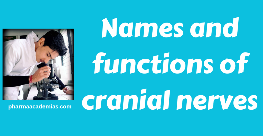 Names and functions of cranial nerves - Pharmaacademias