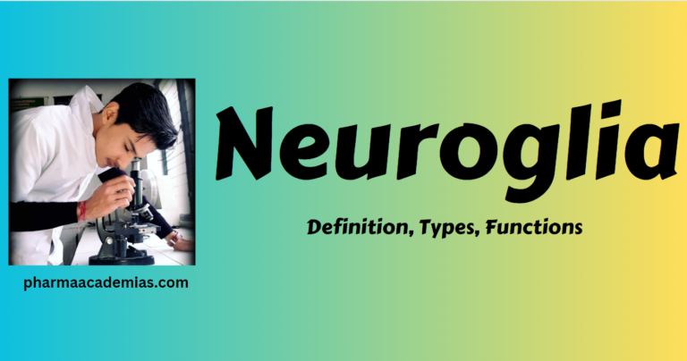 Neuroglia- Definition, Types, Functions - Pharmaacademias