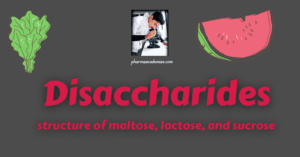 Disaccharides: structure of maltose, lactose, and sucrose - Pharmaacademias