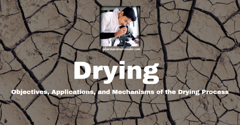 Drying: Objectives, Applications, and Mechanisms of the Drying Process ...