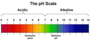 Sørensen's pH Scale: Definition, Mathematical Basis and Application ...