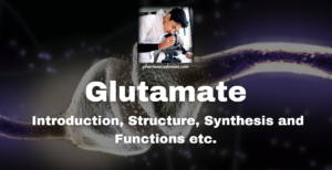Glutamate: Introduction, Structure, Synthesis and Functions etc ...
