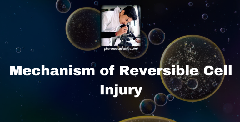 Mechanism of Reversible Cell Injury - Pharmaacademias