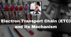 Electron Transport Chain (ETC) and Its Mechanism - Pharmaacademias