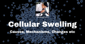 Cellular Swelling: Causes, Mechanisms, Changes etc - Pharmaacademias