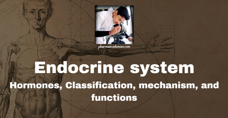 Endocrine system: Hormones, Classification, mechanism, and functions ...