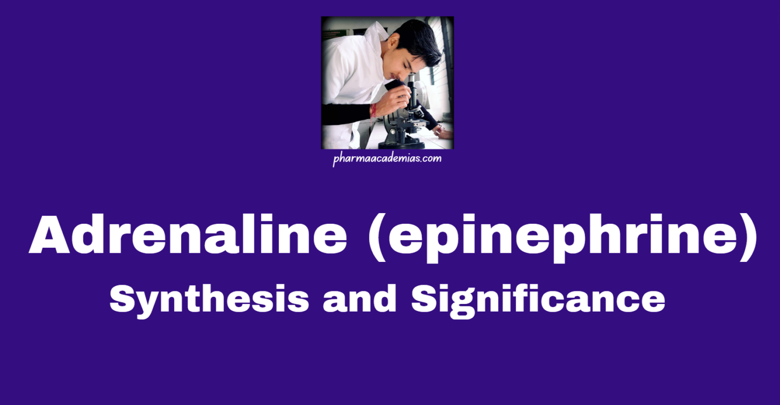 Adrenaline (epinephrine): Synthesis - Pharmaacademias