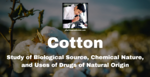 Cotton: Study of Biological Source, Chemical Nature, and Uses of Drugs ...