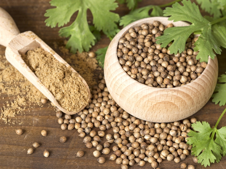 Coriander (Coriandrum sativum): General Introduction, Composition, Chemistry, Bio-Sources ...
