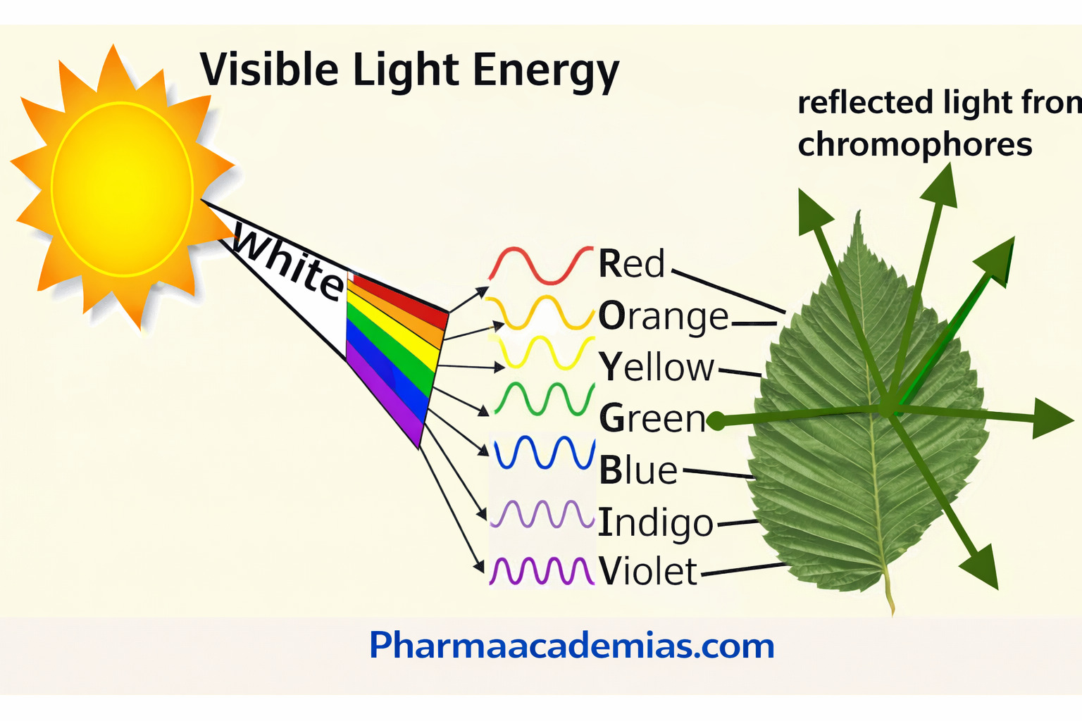 Chromophores: Definition, Characteristics, Types, and Applications