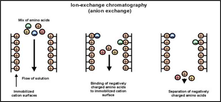 Ion Exchange Chromatography (IEC): Introduction, Principle ...