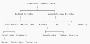 Organizational Structure of a Hospital - Pharmaacademias