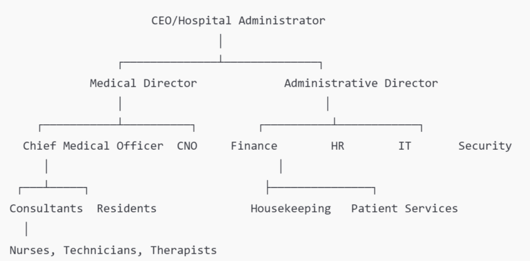 Organizational Structure of a Hospital - Pharmaacademias