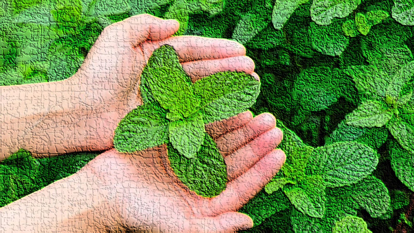 Menthol: Isolation, Identification, Analysis of Phytoconstituents ...