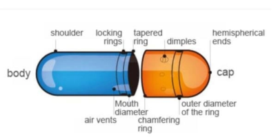 Hard Gelatin Capsules: Introduction, Production Process, and Quality ...