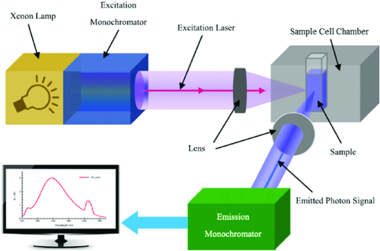 Spectrofluorimetry: Theory of Fluorescence - Pharmaacademias