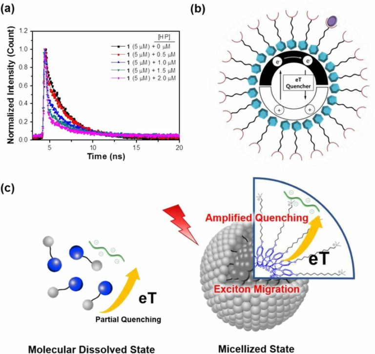 Quenchers: A Comprehensive Analysis - Pharmaacademias