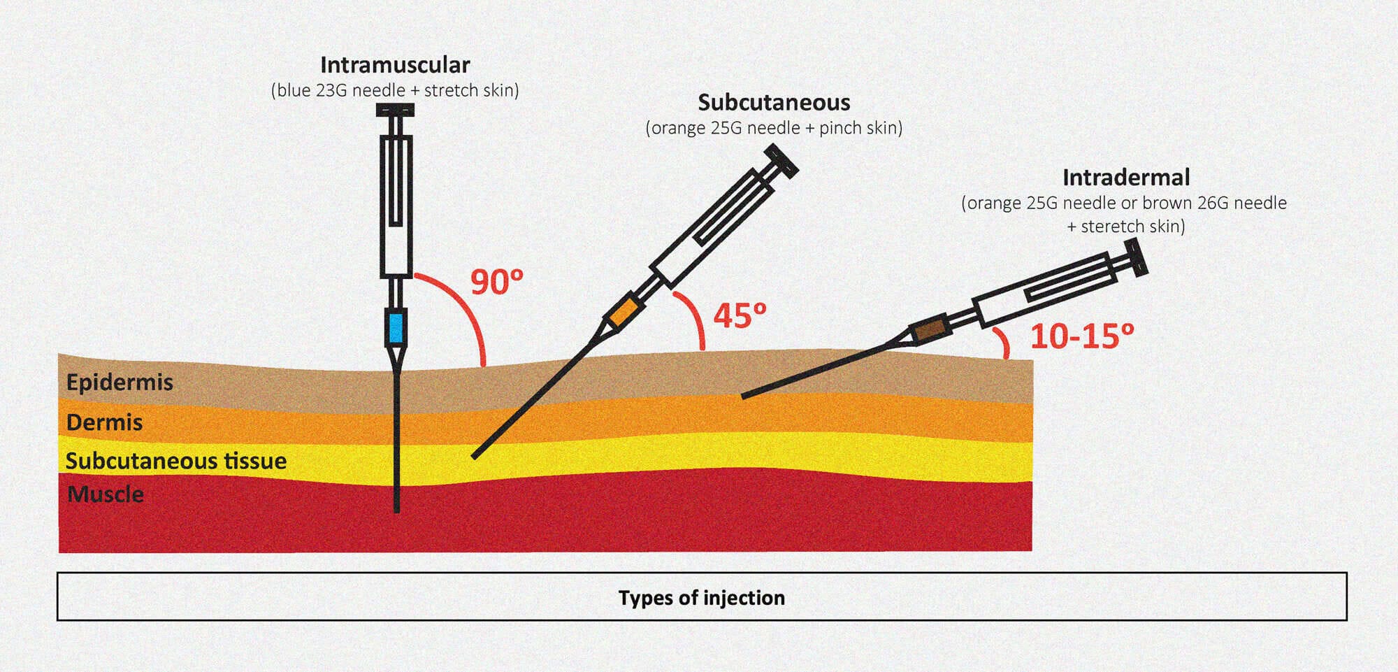 Absorption of Drugs from Non-Per-Oral Extravascular Routes