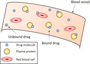 Binding of Drugs to Plasma and Tissue Proteins
